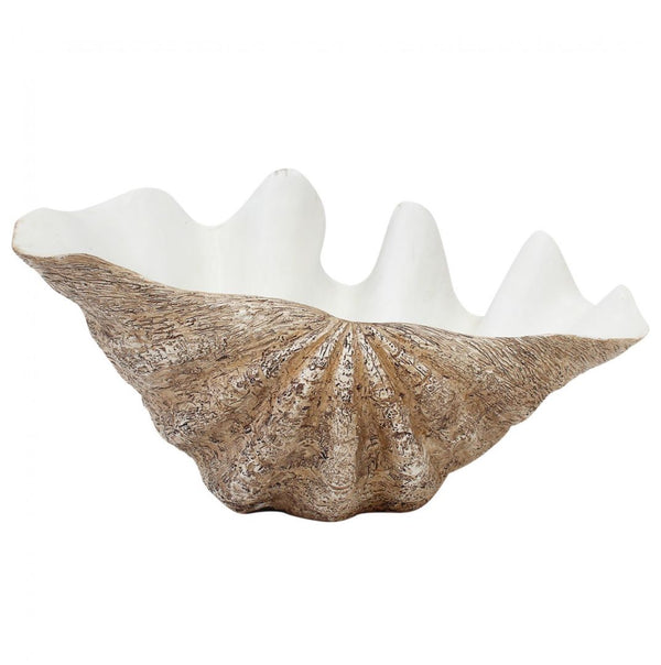 Clam Shell - Vanilla House Coorparoo
