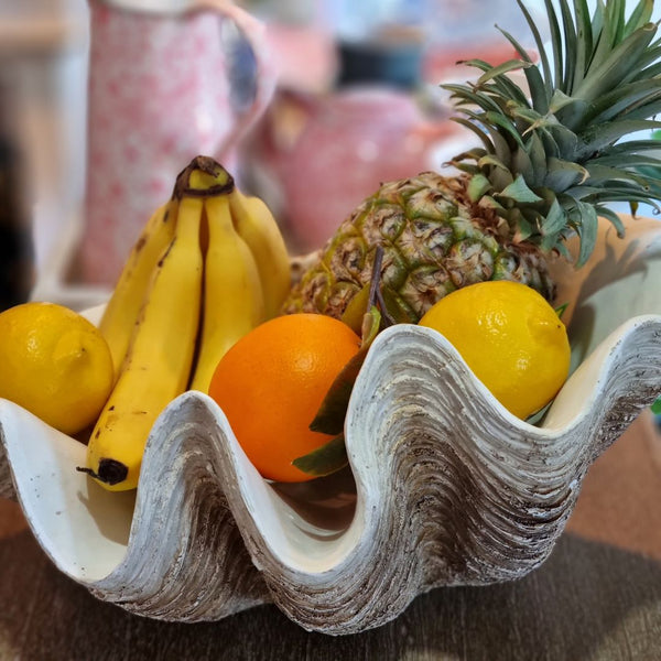 Clam Shell - Vanilla House Coorparoo